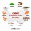 36 alimentos ricos em iodo que você precisa conhecer