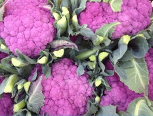 Brócolis: tipos, valor nutricional, para que serve, benefícios ...