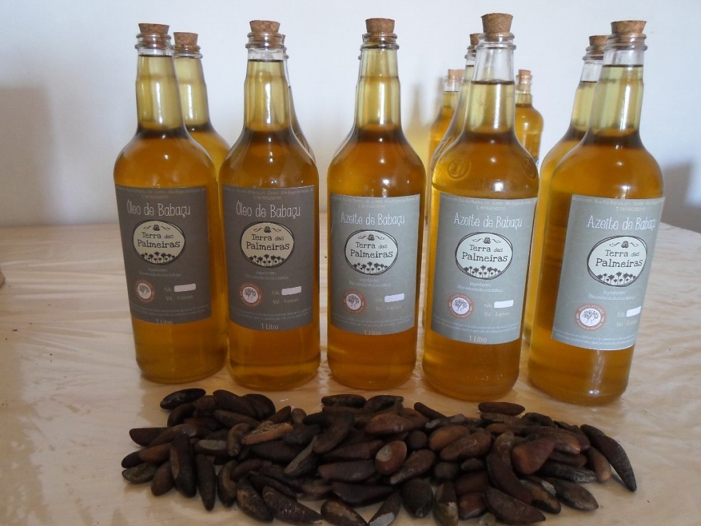 óleo De Babaçu Benefícios - RETOEDU