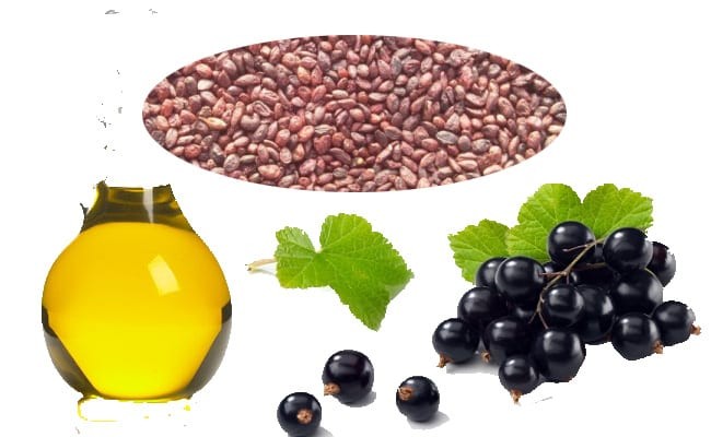 13 Benefícios do Óleo de Semente de Groselha Preta Para Saúde | Dicas ...