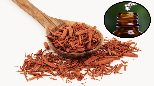 Os 14 Benefícios do Óleo de Sândalo Para Saúde | Dicas de Saúde