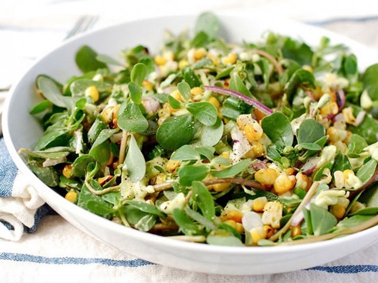 13 Benefícios da Beldroega – Para que Serve e Características | Dicas ...