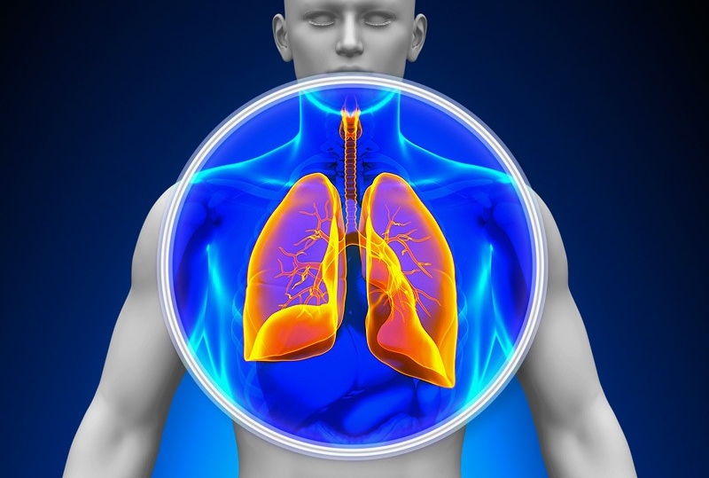 Os 13 Alimentos que Melhoram a Saúde do Pulmão | Dicas de Saúde