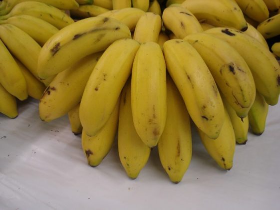 Banana Maçã ajuda na saúde da pele e contra o derrame: veja os seus ...