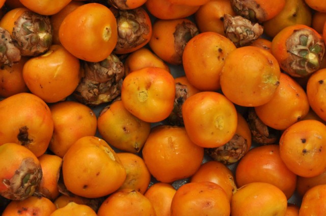 Os 10 Benefícios do Butiá Para Saúde【ATUALIZADO】