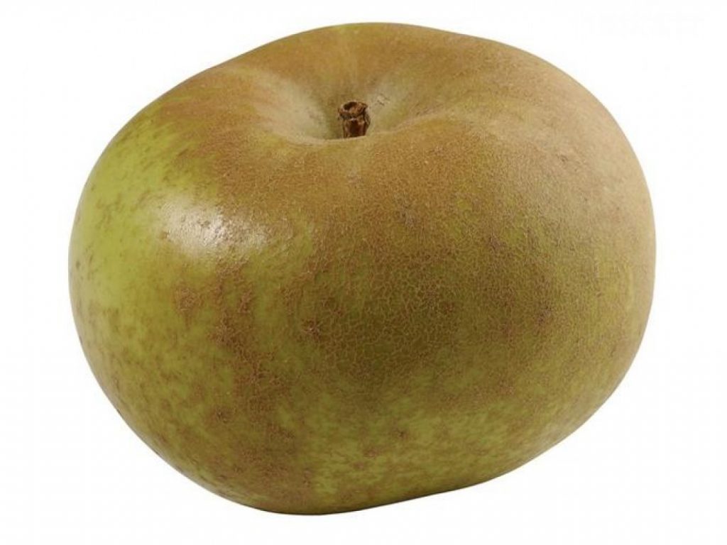 Maçã reineta fruta: 16 benefícios, nutrientes e como usar