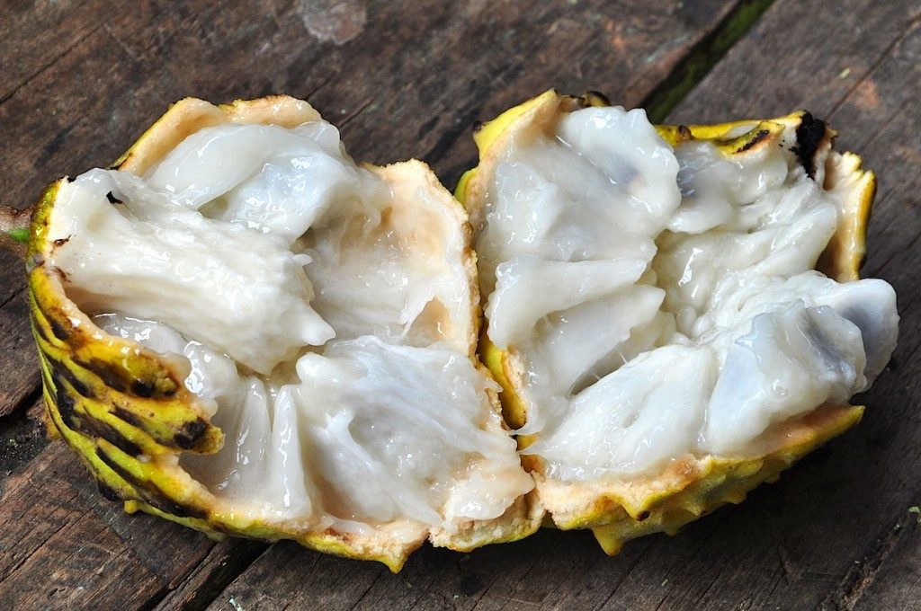 Os 15 Benefícios do Biribá Para Saúde 【ATUALIZADO】