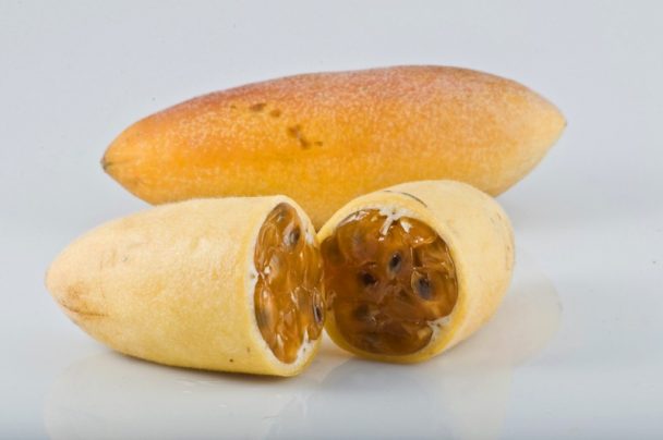 Os 10 Benefícios da Curuba Para Saúde 【ATUALIZADO】