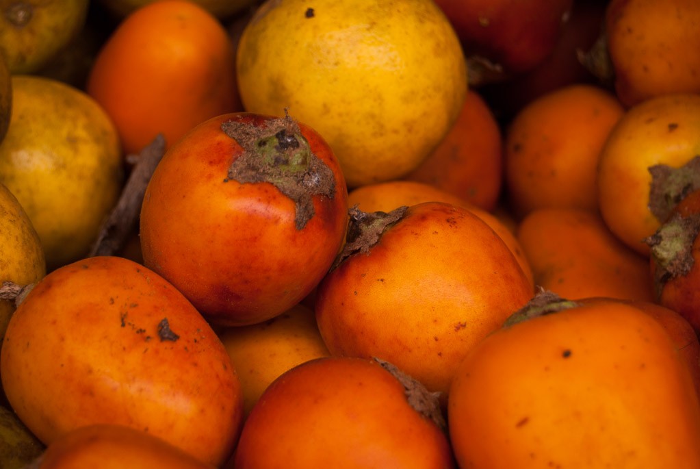 Os 15 Benefícios do Maná Para Saúde 【ATUALIZADO】