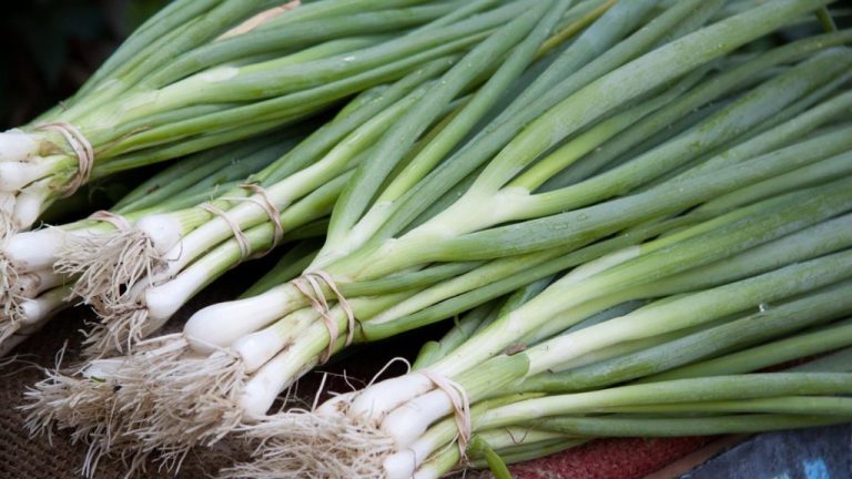 Cebolinha: Para que serve, valor nutricional, benefícios, malefícios e ...