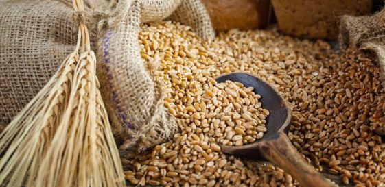 Os 11 Benefícios do Centeio Para Saúde 【ATUALIZADO】