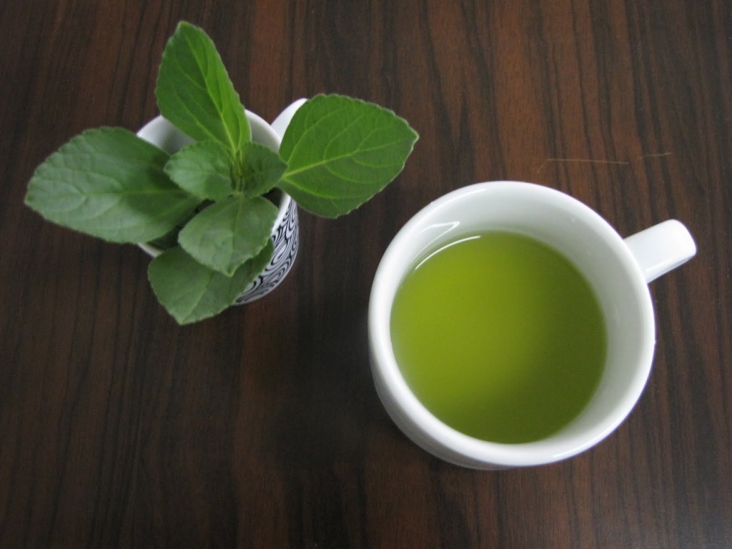 Os 10 Benefícios do Chá de Boldo Para Saúde