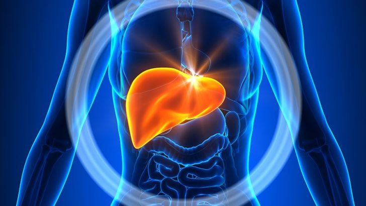Os 5 Alimentos que Ajudam Tratar a Inflamação do Fígado | Dicas de Saúde