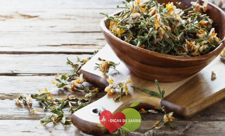 20 Benefício do Chá de Carqueja – Para que Serve e Características ...