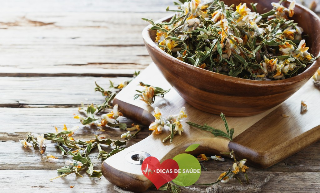 20 Benefício do Chá de Carqueja – Para que Serve e Características ...