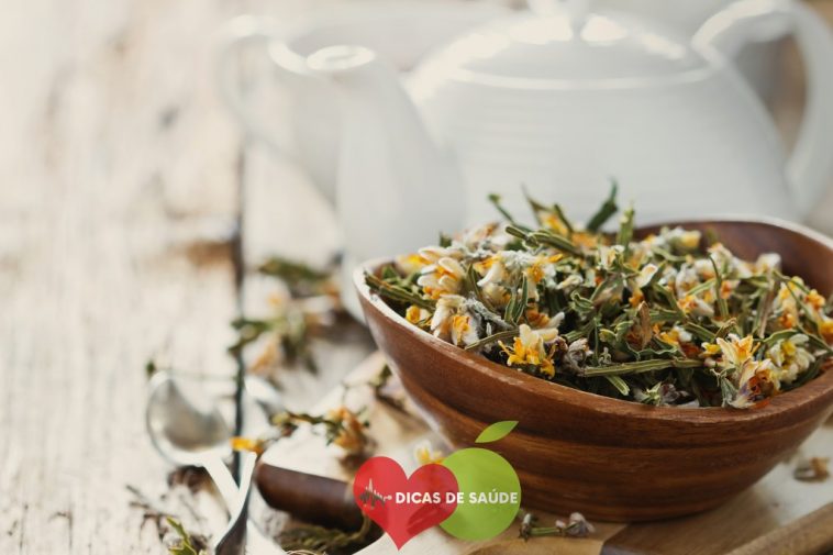 20 Benefício do Chá de Carqueja – Para que Serve e Características ...