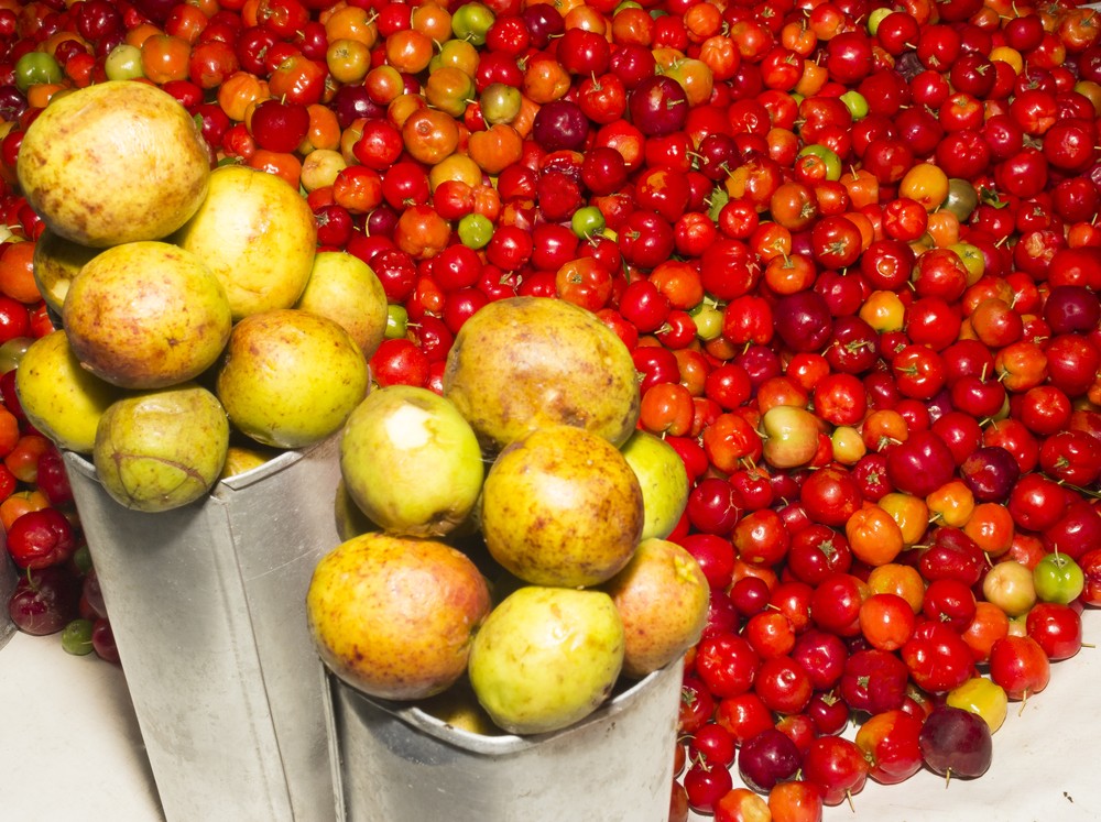 Chá de Mangaba Para Reduzir Pressão Alta Naturalmente | Dicas de Saúde