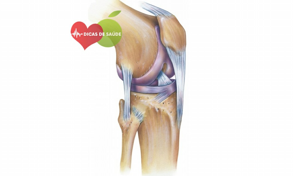 Como Regenerar os Ligamentos e Tendões em Casa 【ATUALIZADO】