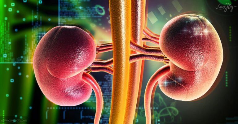 Os 10 Hábitos que Podem Danificar Seus Rins
