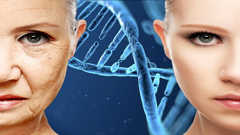 Síndrome de Werner - Causas, Sintomas e Tratamentos 【Atualizado】