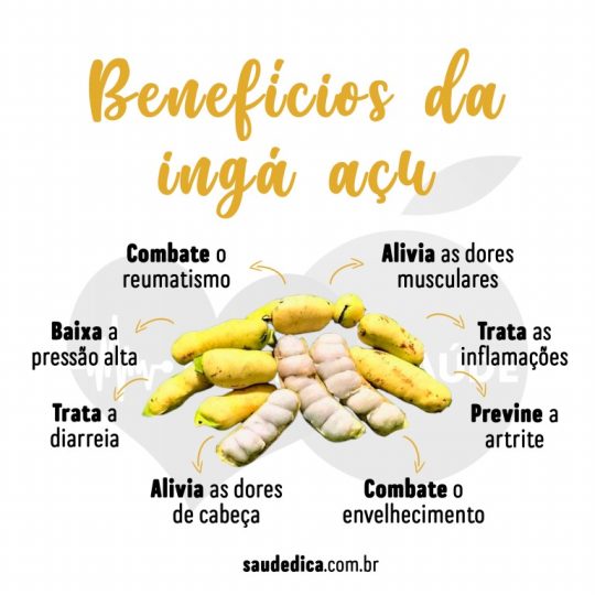 Ingá Açu faz bem para reumatismo e dores musculares: veja os seus ...