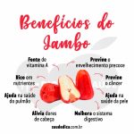 Tipos de Jambo fruta: para que serve, benefícios e como usar | Dicas de ...