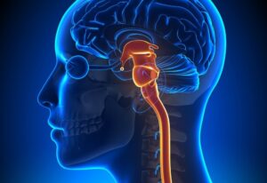 Nevralgia - O que é, Causas, Sintomas e Tratamentos | Dicas de Saúde