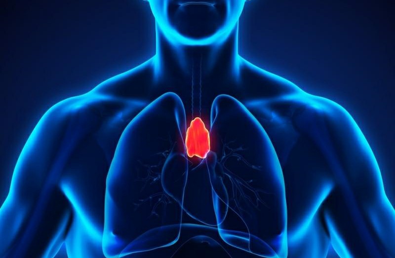Câncer de Timo - O que é, Causas, Sintomas e Tratamentos | Dicas de Saúde