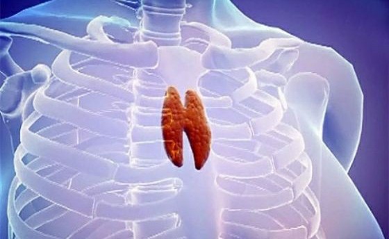 Câncer de Timo - O que é, Causas, Sintomas e Tratamentos | Dicas de Saúde