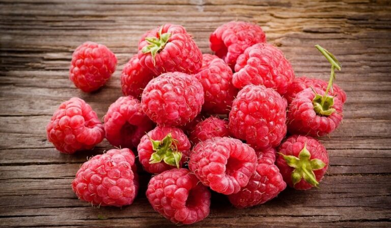 Framboesa Fruta: Para que serve, como usar, valor nutricional ...