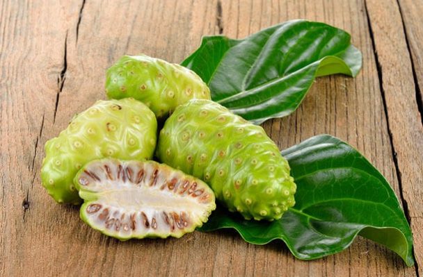 Noni é excelente para a digestão, ajuda na perda de peso: veja os seus ...