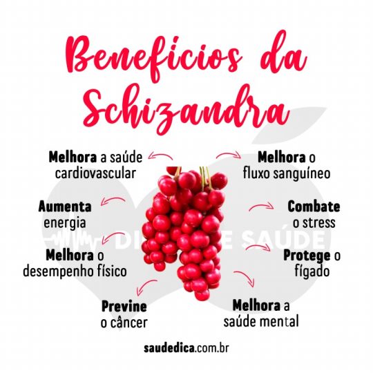 Schizandra o que é e para que serve? faz bem para mente e combate ...