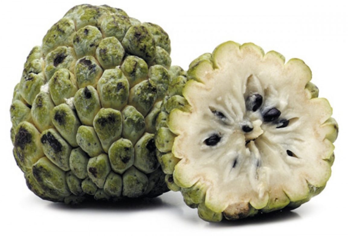 Os 10 Benefícios da Semente de Pinha Para Saúde 【ATUALIZADO】