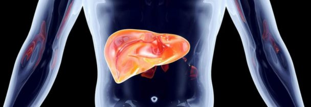 Hepatite Alcoólica - Causas, Sintomas e Tratamentos | Dicas de Saúde