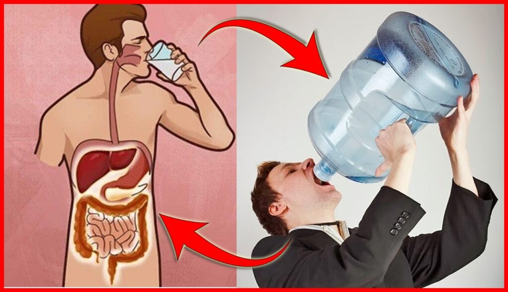 5 dicas para melhorar sua saúde bebendo água corretamente! 5 dicas para melhorar sua saúde bebendo água corretamente!
