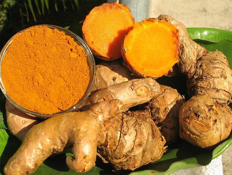 Açafrão: Para que serve, como usar, valor nutricional, benefícios e ...
