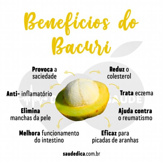 Bacuri: Para que serve, como usar, valor nutricional, benefícios ...