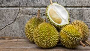 Durian faz bem para a fadiga, promove a saúde dos ossos: veja os seus ...