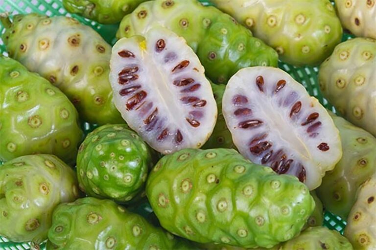 Noni: Para que serve, como usar, valor nutricional, benefícios ...