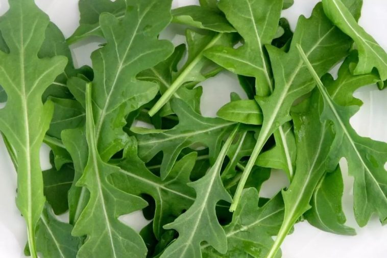 Rúcula – Benefícios, Usos e Efeitos Colaterais 【ATUALIZADO】