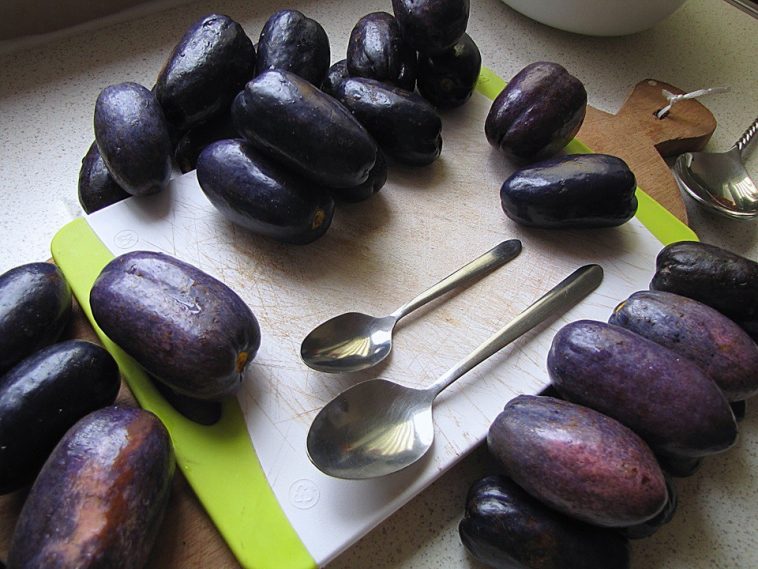 Safou ajuda a prevenir a constipação, ajuda a emagrecer: veja os seus ...