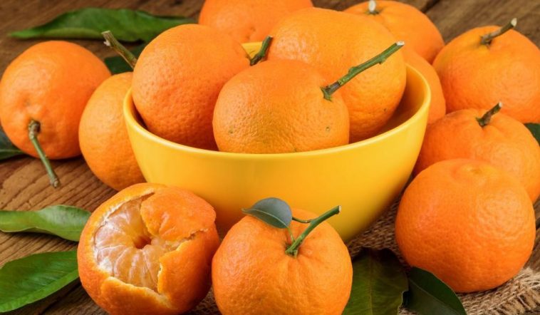 Tangerina faz bem para pele, previne a tuberculose: veja os seus ...