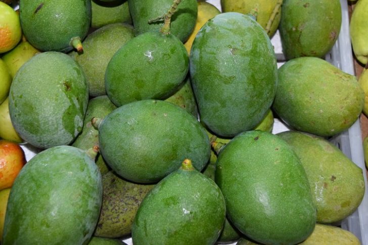10 benefícios da manga verde para saúde | Dicas de Saúde