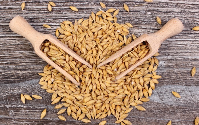 Os 11 Benefícios da Cevada Para Saúde | Dicas de Saúde