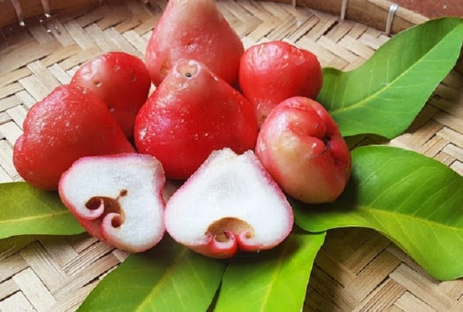 Jambo rosa: o que é, para que serve, benefícios da fruta e efeitos ...