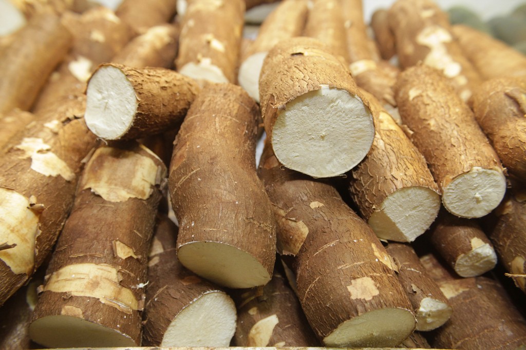 23 benefícios da mandioca para saúde e (efeitos colaterais)