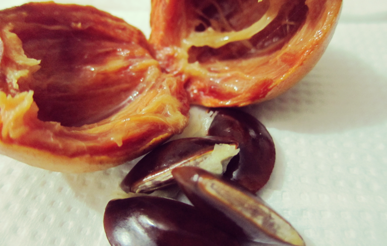 Os 6 benefícios da alasa para saúde! | Dicas de Saúde