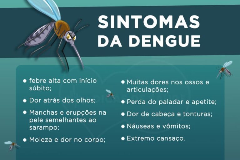 Sintomas da dengue: 30 sinais da dengue e dengue hemorrágica | Dicas de ...