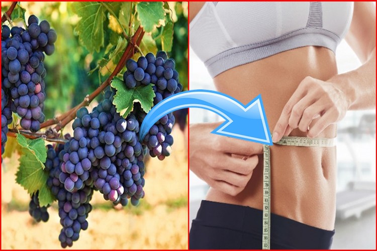 Dieta Da Uva Funciona Benefícios E Receitas Dicas De Saúde