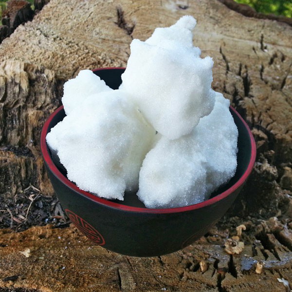 21 Benefícios da Canfora – Para que Serve e Características | Dicas de ...